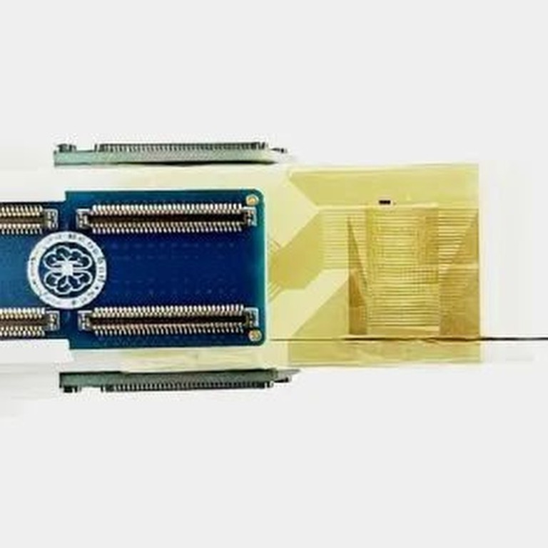 Chinese neural probe could have ‘transformative impact’ on brain ...