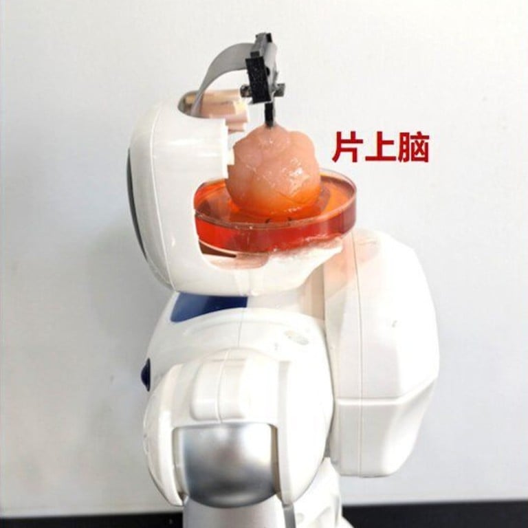 Chinese scientists create robot with brain made from human stem cells ... Chinese scientists create robot with brain made from human stem cells ...