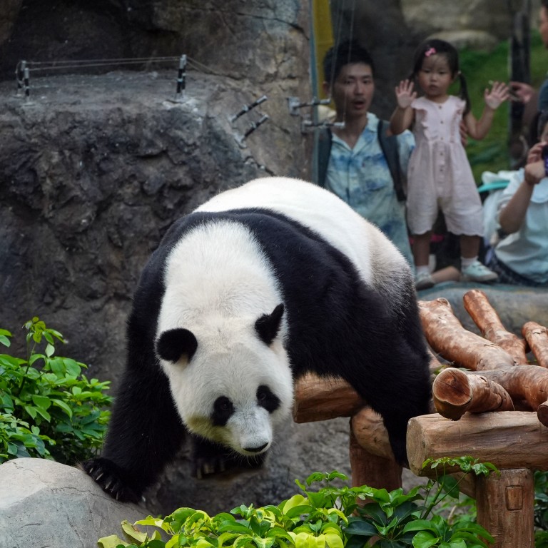 Hong Kong delegation to head to Sichuan to ensure safe arrival of 2 ...