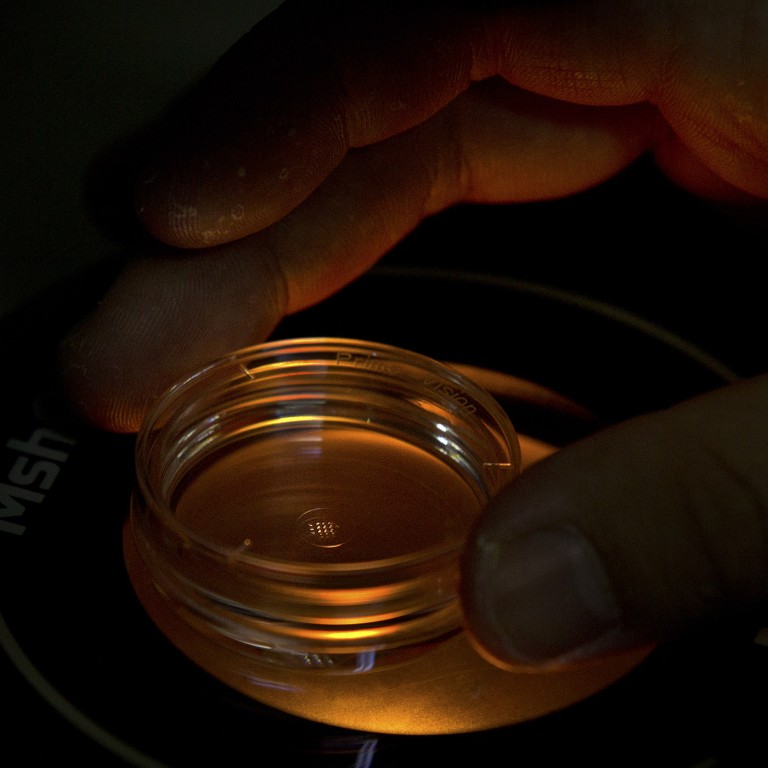 He Jiankui, China biologist behind gene-edited babies, reveals million ...