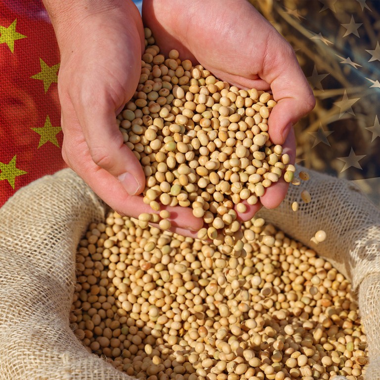 China restores US beef trade amid Trump-Xi summit, alarming Brazilian ...