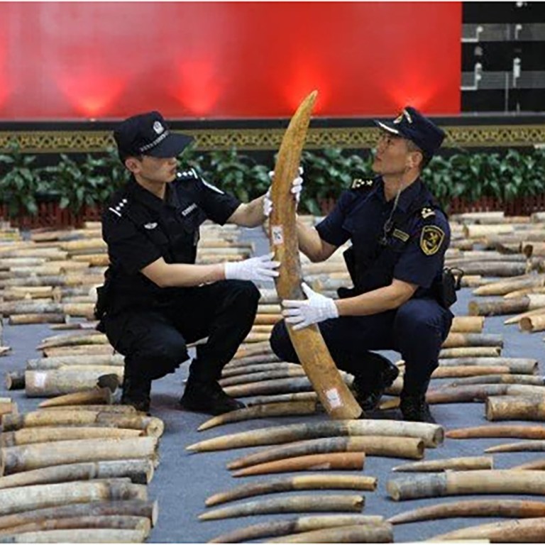 Chinese customs officers seize more than 7 tonnes of ivory in record ...