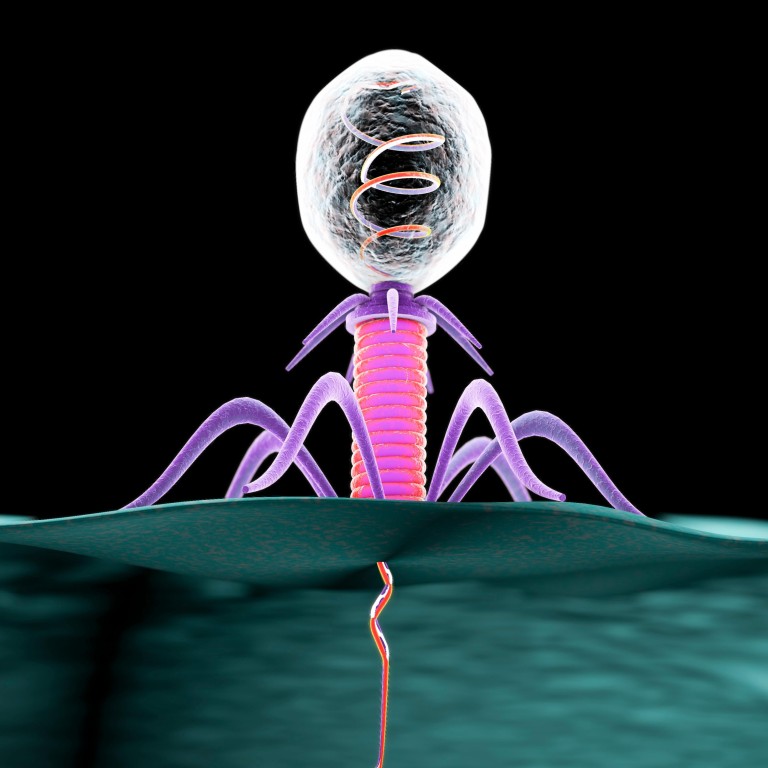 British teenager makes remarkable recovery from near death after ...