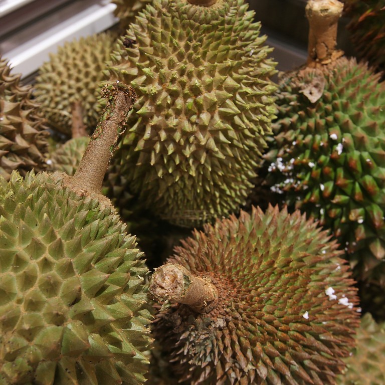 Malaysias Big Durian Dreams As It Seeks To Expand Exports To China South China Morning Post