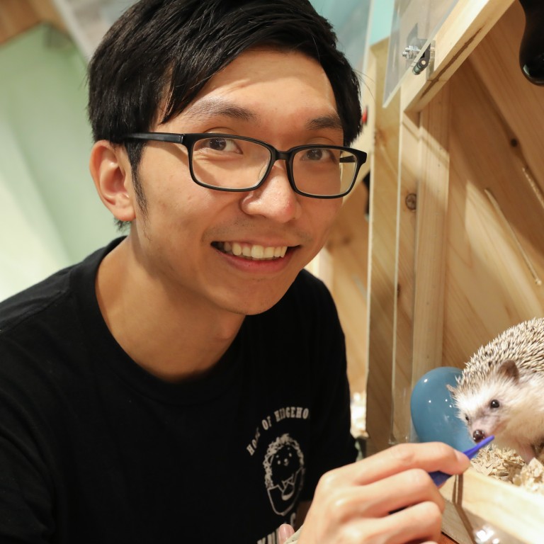 Hong Kong’s home of hedgehogs Kuri Cafe follows the paws of dog and cat ...