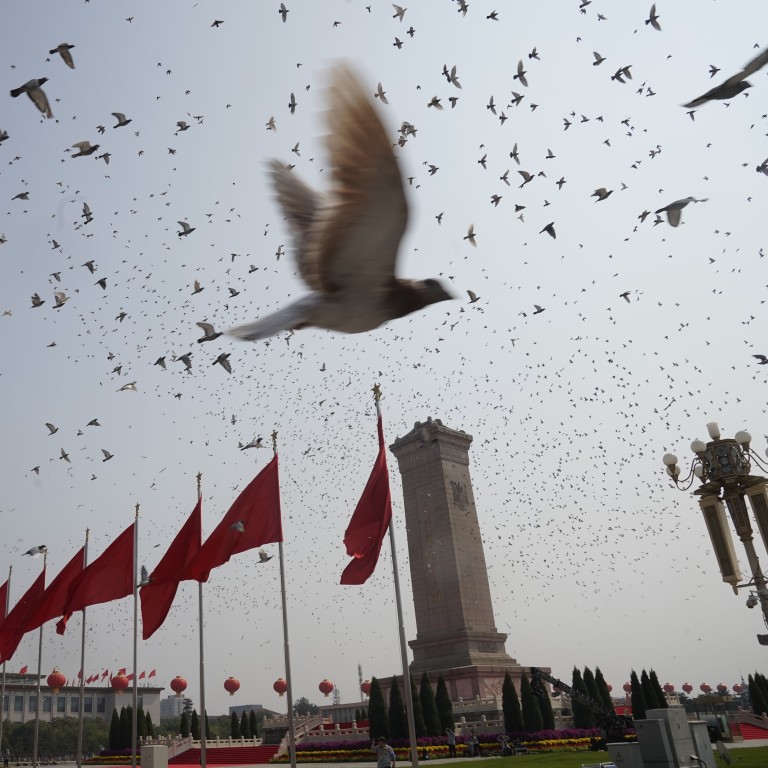 The pigeons who made it home after a big National Day out in China ...