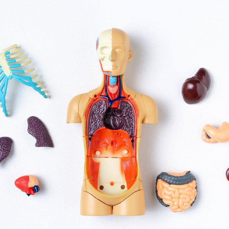 The Body: A Guide for Occupants – Bill Bryson turns his wry gaze onto ...