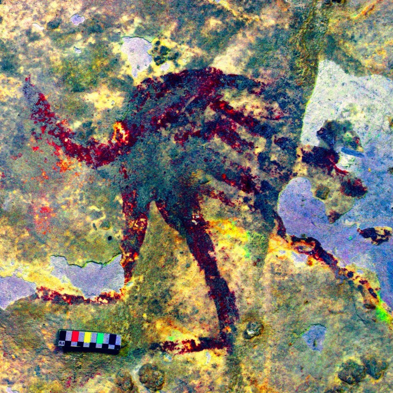 The oldest story ever told: a painting of pigs on a cave wall in ...