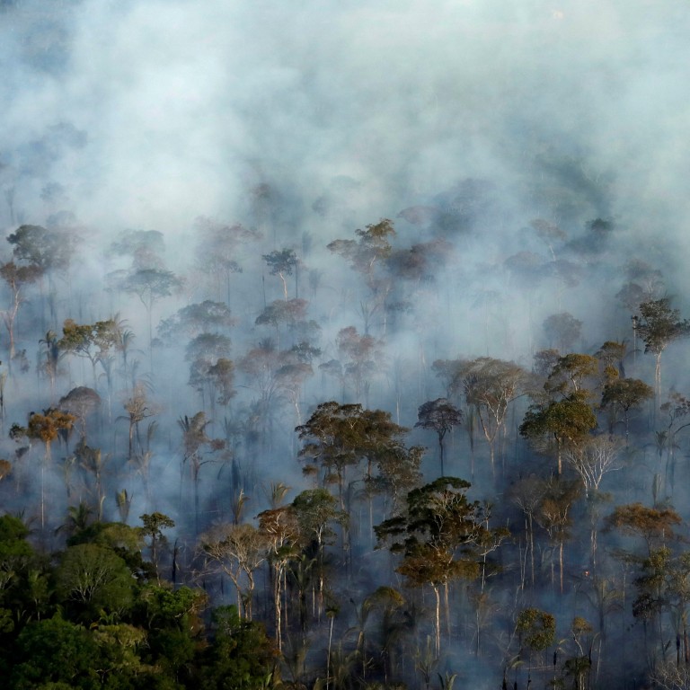 ‘Terrifying’: Amazon rainforest could collapse in 50 years | South ...