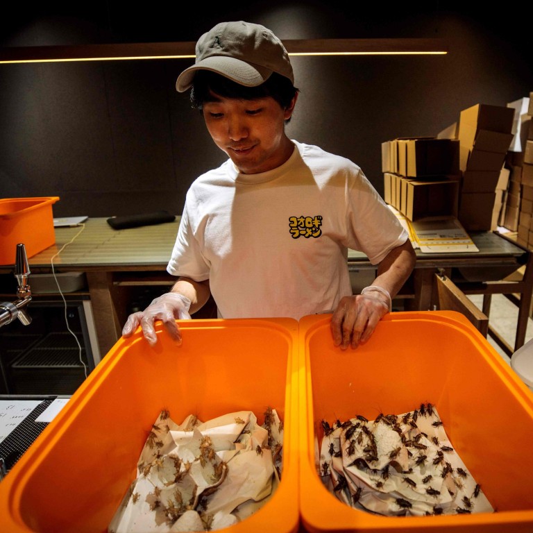 Japanese ramen with insects, from a chef who wants crickets ...