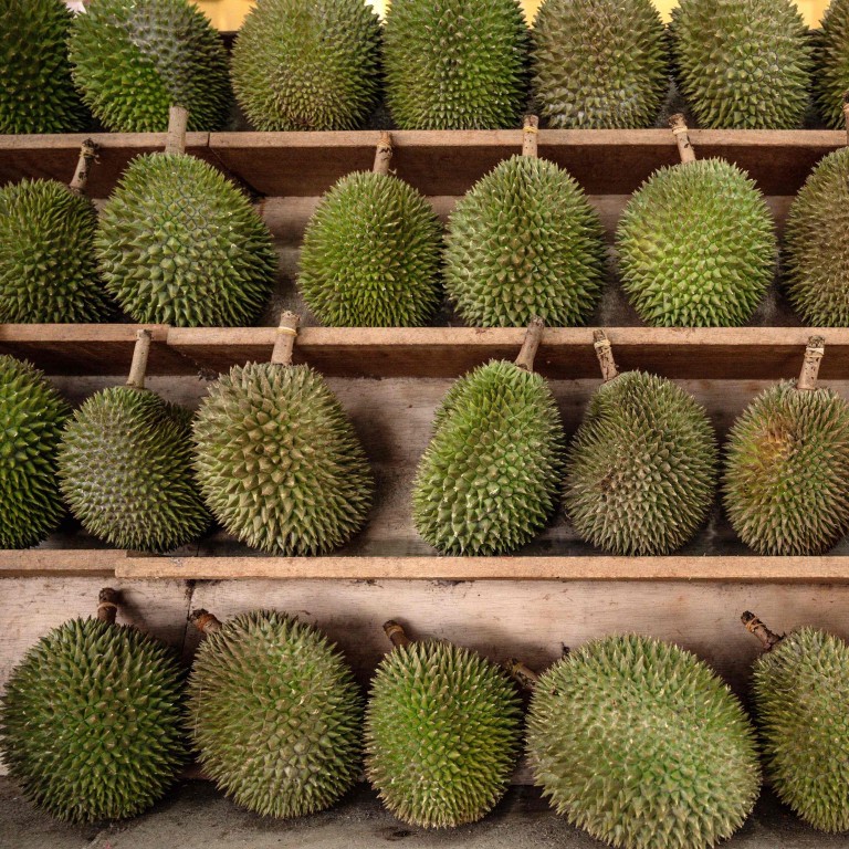Coronavirus: Malaysia’s durian sellers saw boom in online orders during ...