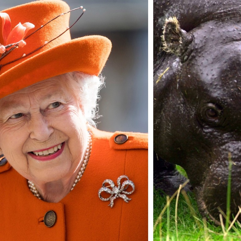 Queen Elizabeth’s fantastic beasts: hippos from Liberia, crocodiles ...