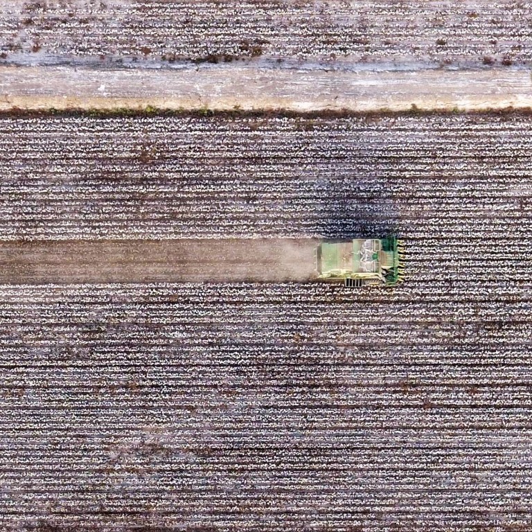 US drops sweeping Xinjiang goods ban, China’s cotton sector breathes ... US drops sweeping Xinjiang goods ban, China’s cotton sector breathes ...