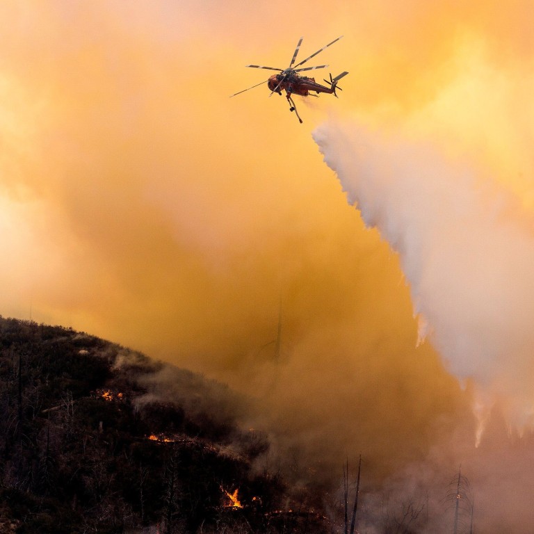 Austrian minister corrects Trump’s ‘forest city’ claim, says we don’t ...