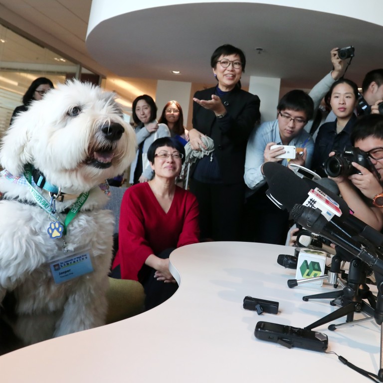University of Hong Kong mourns the death of Jasper, its in-house ...