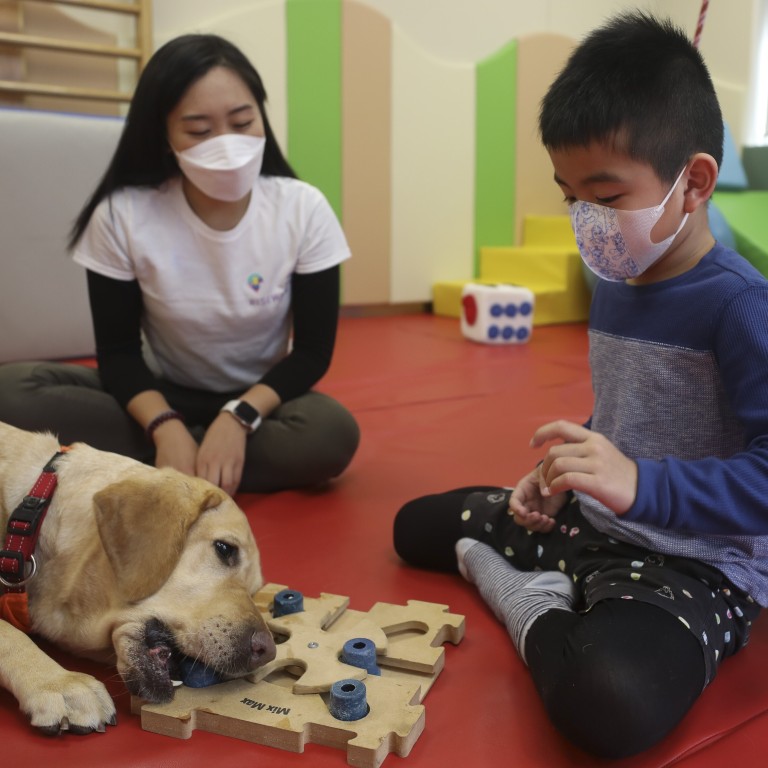 How therapy dogs help with learning disabilities, anxiety and other ...