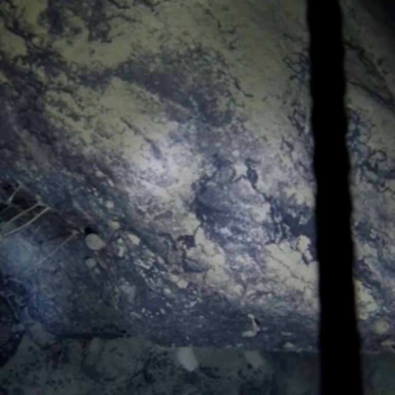 Scientists discover ‘strange creatures’ under 900-metre-thick Antarctic ...