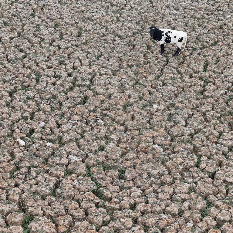 Record-breaking drought in Chile offers bountiful proof of climate ...
