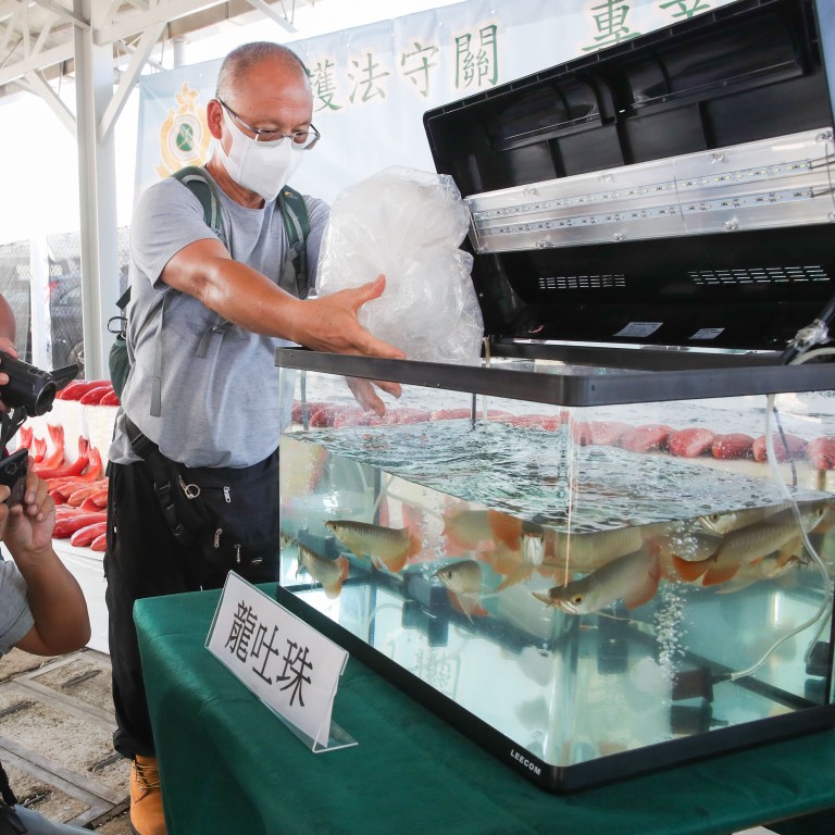 3 Hong Kong men arrested over HK$1.8 million fish smuggling bust ...