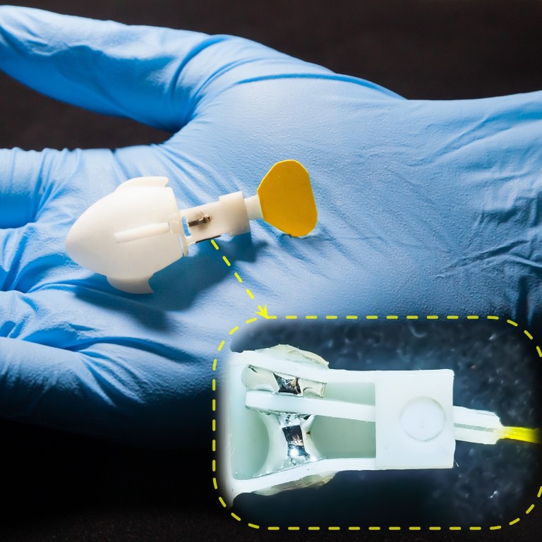 Chinese scientists build robot fish that could pave the way for low ...