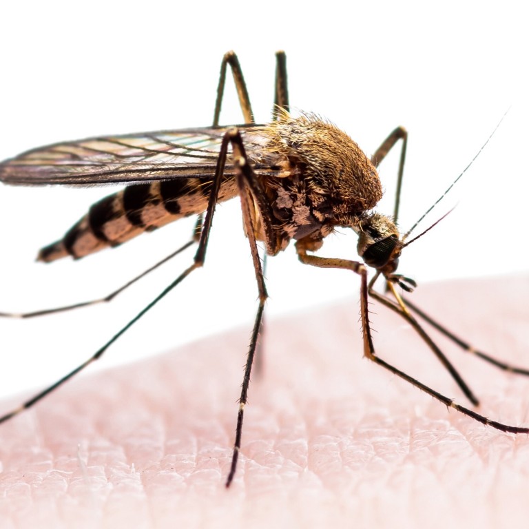 China eliminated malaria. Could it be a model for the rest of the world ...