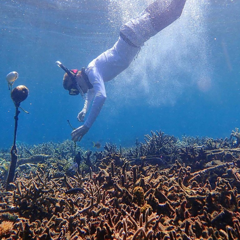 100-metre-tall watchtower to survey ocean in East China Sea and help ...