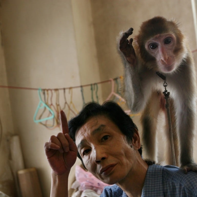 Legendary Hong Kong monkey which owner fought to keep at home in high ...