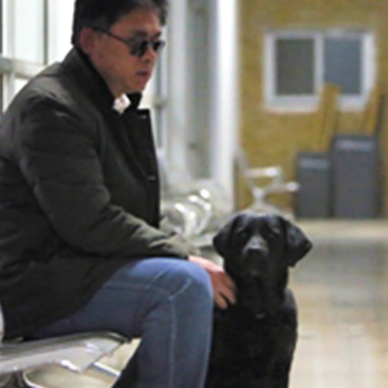 ‘Please forgive me’: Labrador retriever stolen from blind man in China ...