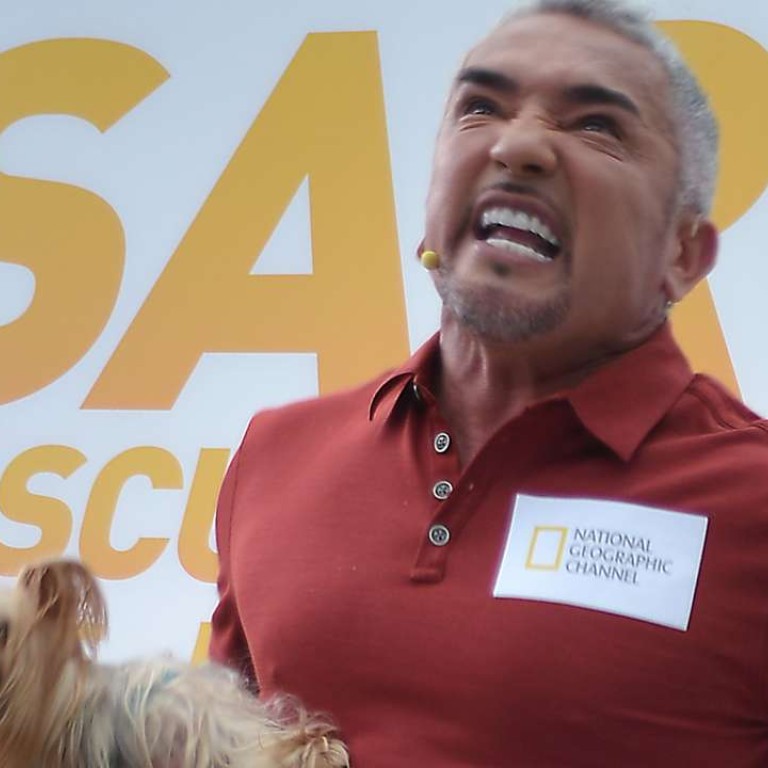 ‘Dog whisperer’ Cesar Millan defends himself amid animal cruelty ...