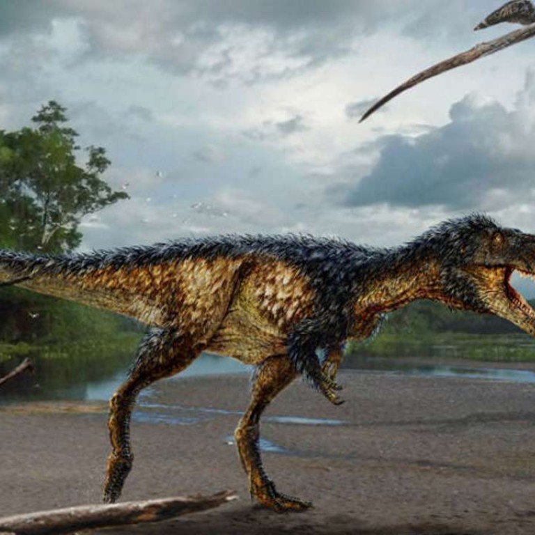 From wee rex to T. Rex: meet the horse-sized ancestor of prehistory’s ...
