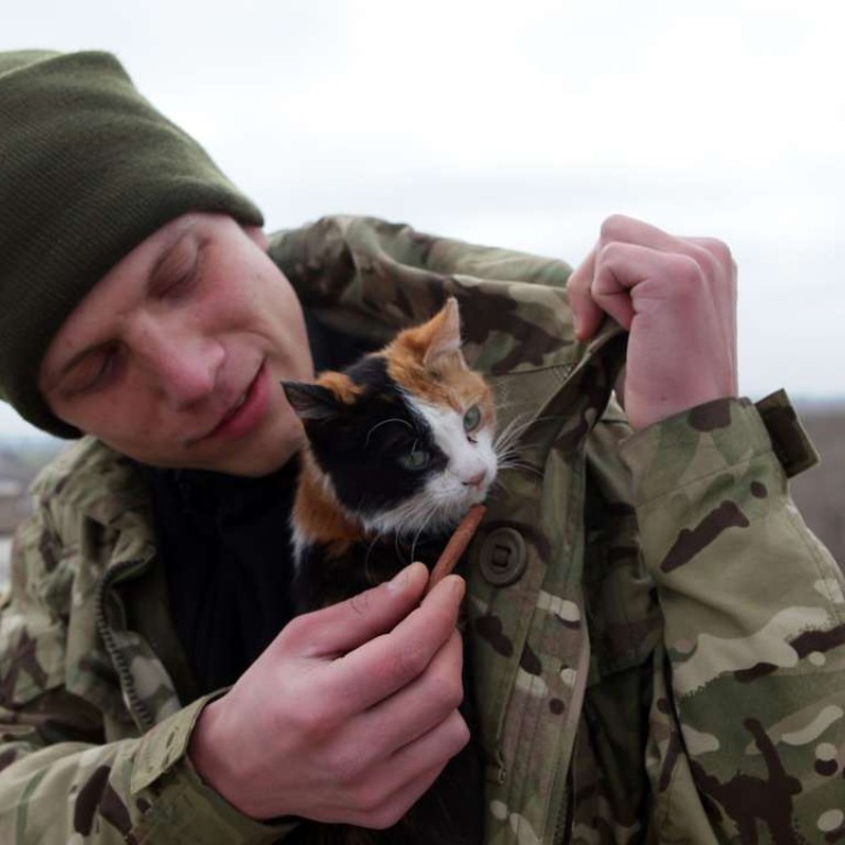 Let slip the dogs and cats of war: hardened fighters find furry friends ...