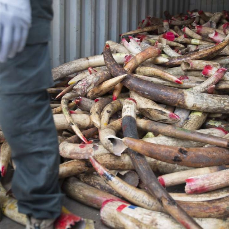 Crush and burn: Malaysia destroys for the first time huge ivory trove ...