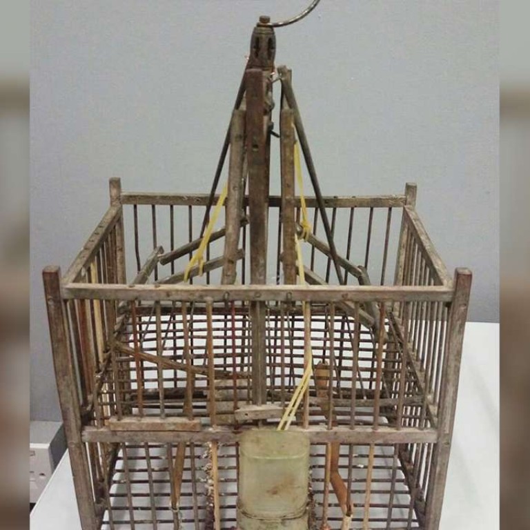 Hong Kong man, 74, arrested for allegedly trying to trap wild birds ...