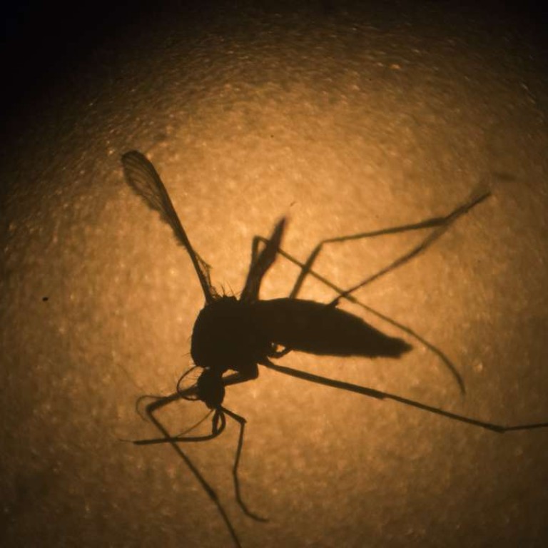 New research finds tiny risk of Zika virus at Rio Olympics, predicting ...