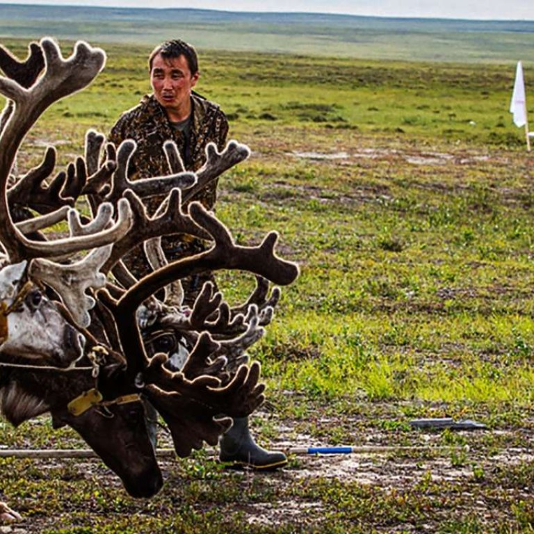 Russian anthrax outbreak shows how global warming threatens to release ...