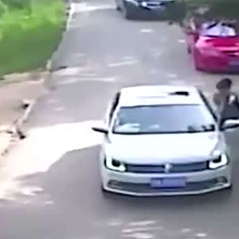 Survivors of fatal tiger attack in Beijing wildlife park claim 2 ...
