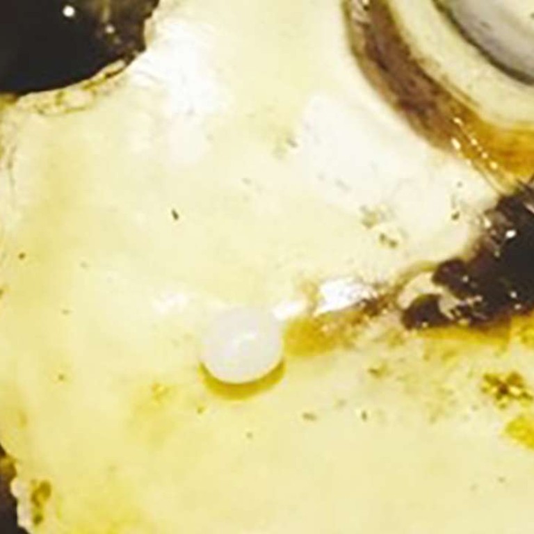 Chinese man bites into oyster ... and crunches on a pearl | South China ...