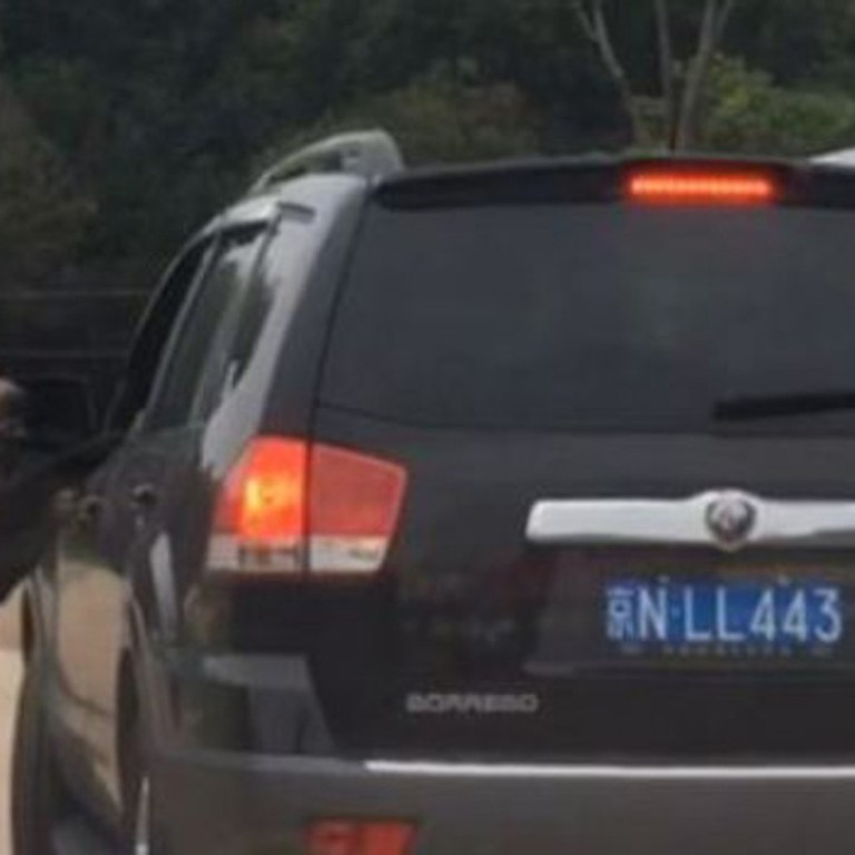 Bearly believable! Visitors to Chinese safari park ‘feed’ beast through ...