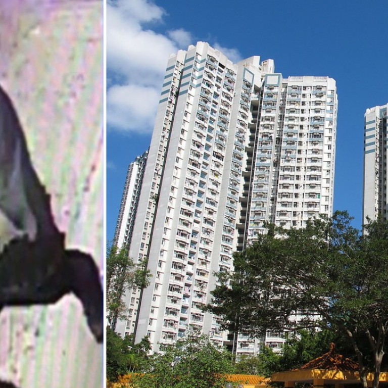 Suspected Hong Kong Triad Member Arrested After Allegedly Forcing