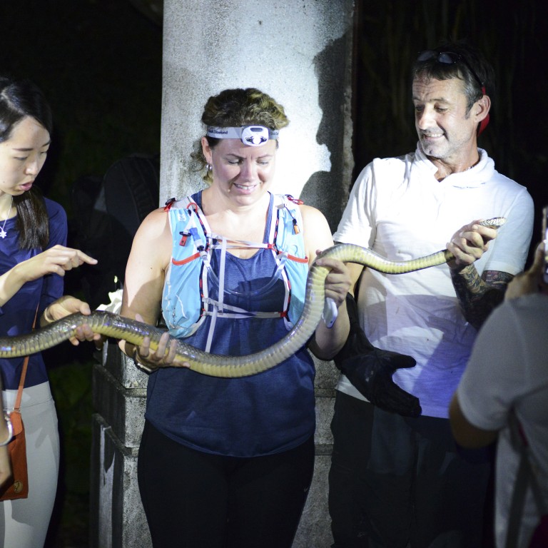 Hong Kong snake encounters | South China Morning Post