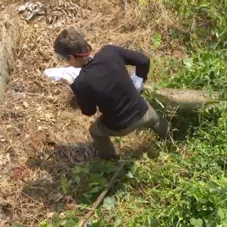 Hong Kong snake encounters | South China Morning Post