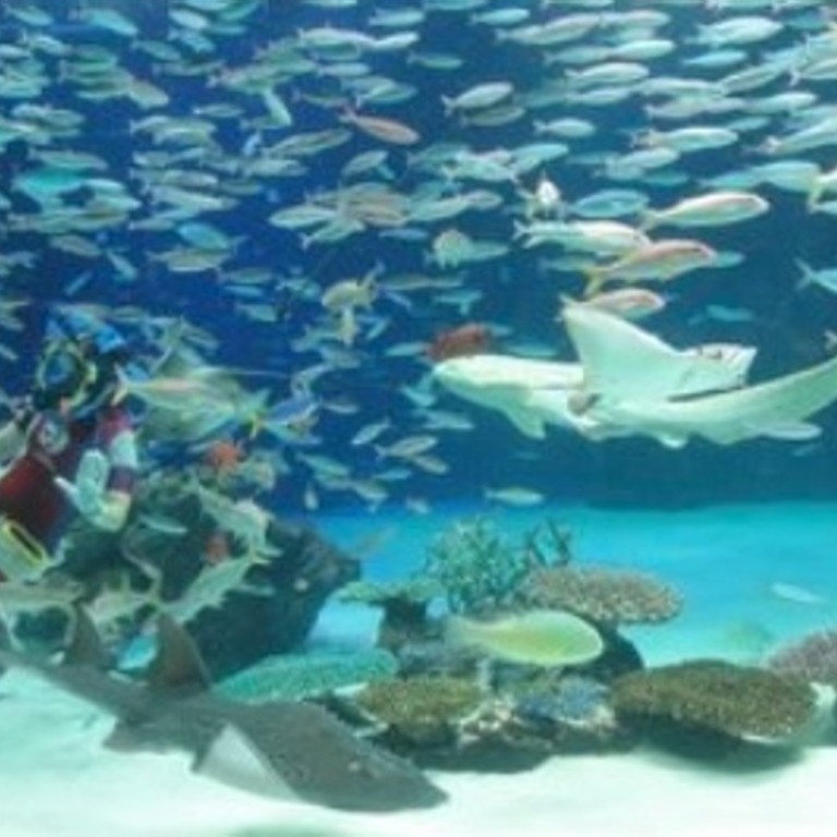 More than 1,000 fish found dead at Tokyo’s Sunshine Aquarium | South ...