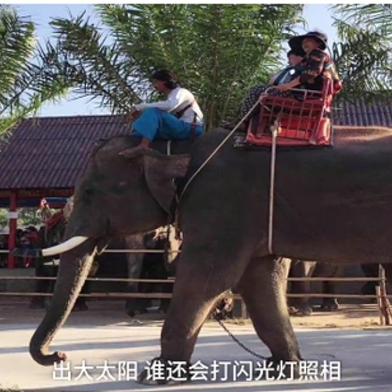 Chinese tourists warned not to ride elephants after guide’s death ...