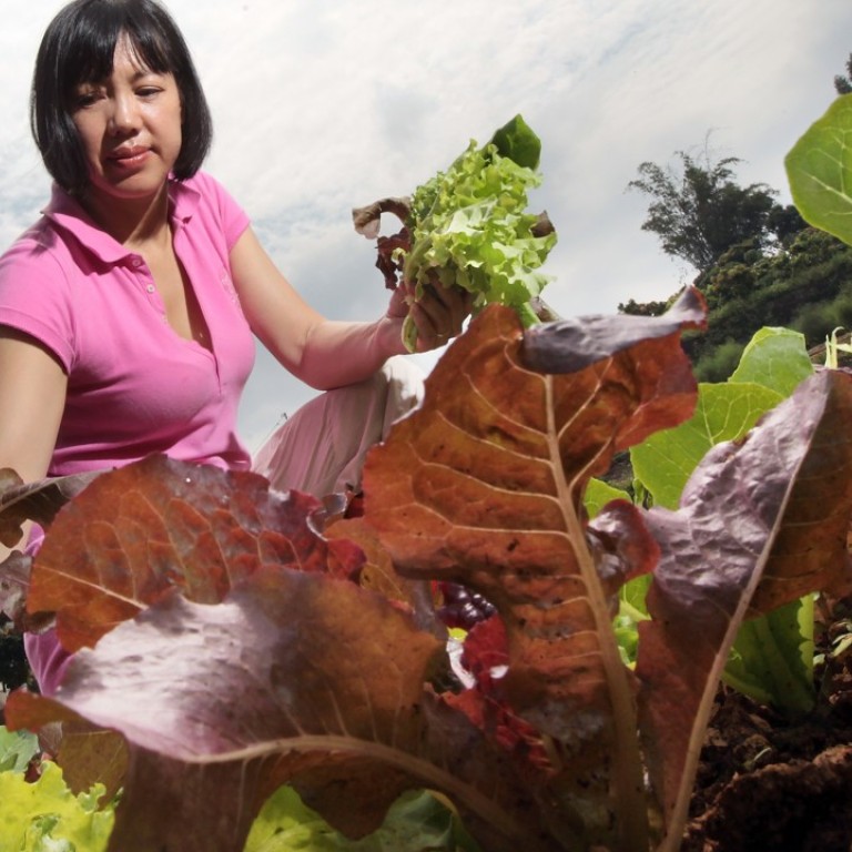 Welcome to the agrihood: golf courses out, urban farms in as upscale developers invite buyers to ...