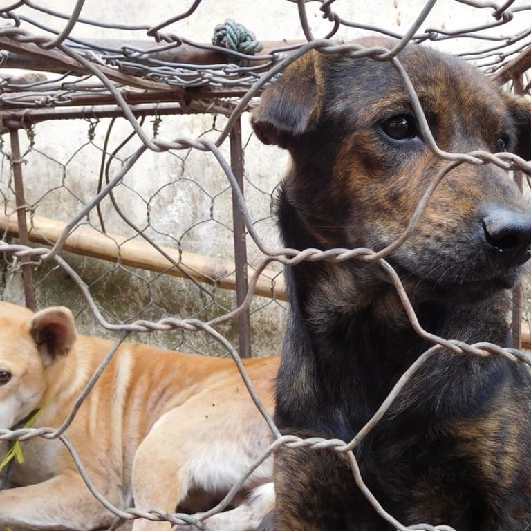 ‘Spattered with blood and shaking with fear’: the Indonesian market ...