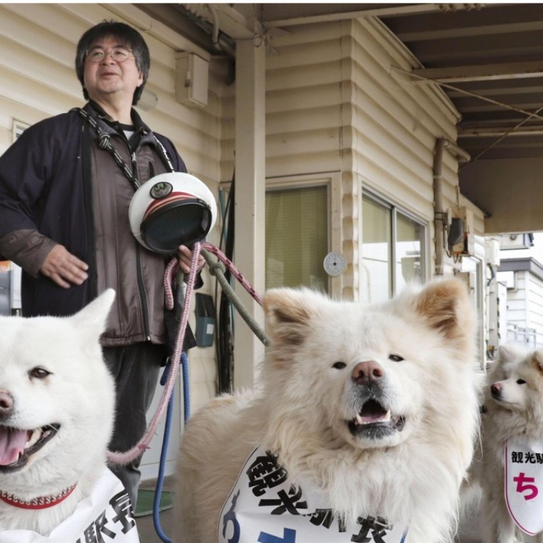 Train station dog Wasao who stole Japan’s heart with his ‘cute and ugly ...