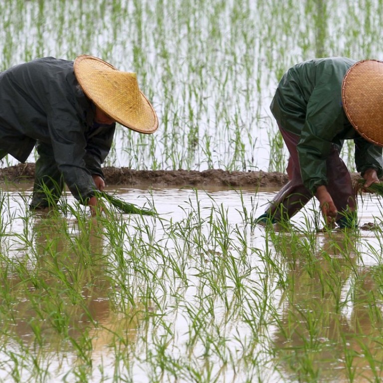 China’s cash-rich property developers go rural for opportunities and ...