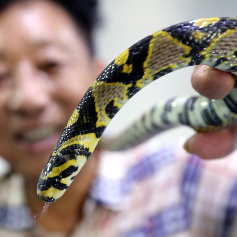 Podcast: farming snakes for medicine, meals and money in China | South ...