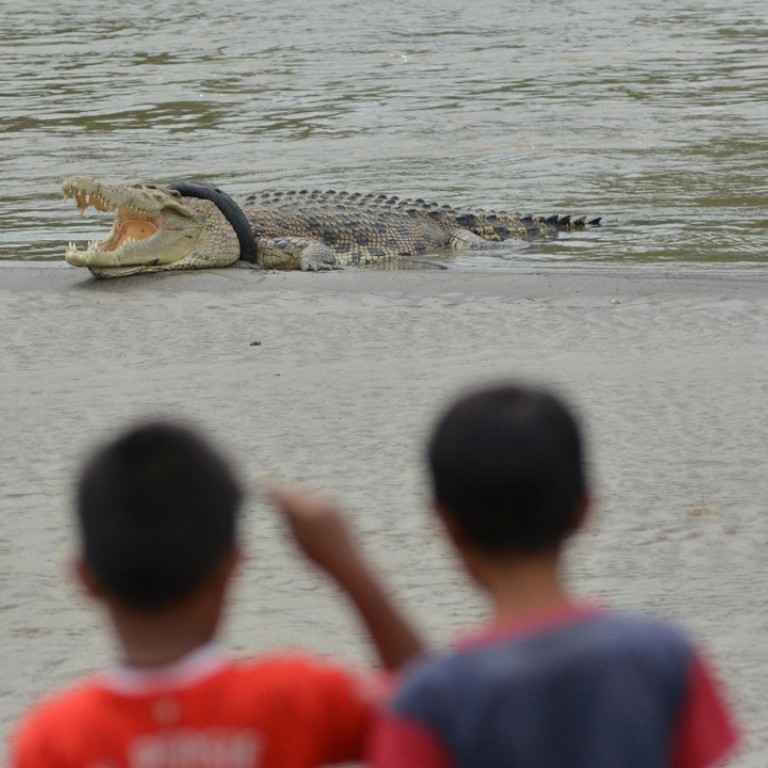 Deaths of Indonesia’s 300 crocodiles in mob rampage must not go ...