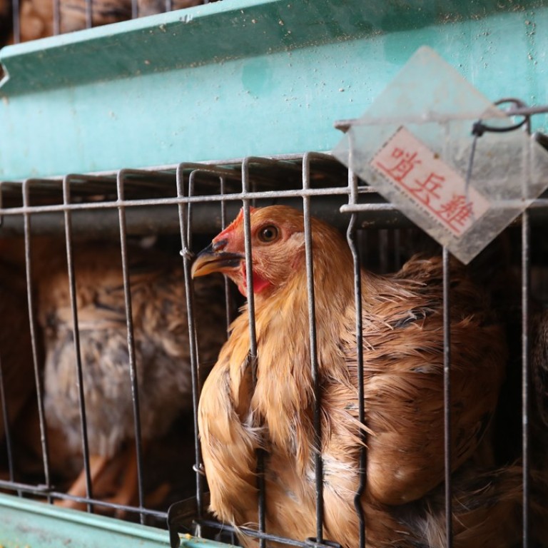 Letter | Let Hong Kong’s veterinary surgeons do more to ensure the ...